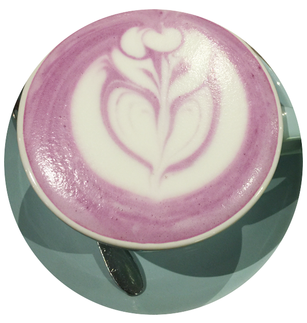 Flavor to Savor, Cafe-ube - PROVA