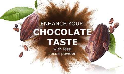 Delicious Cocoa Solutions - PROVA
